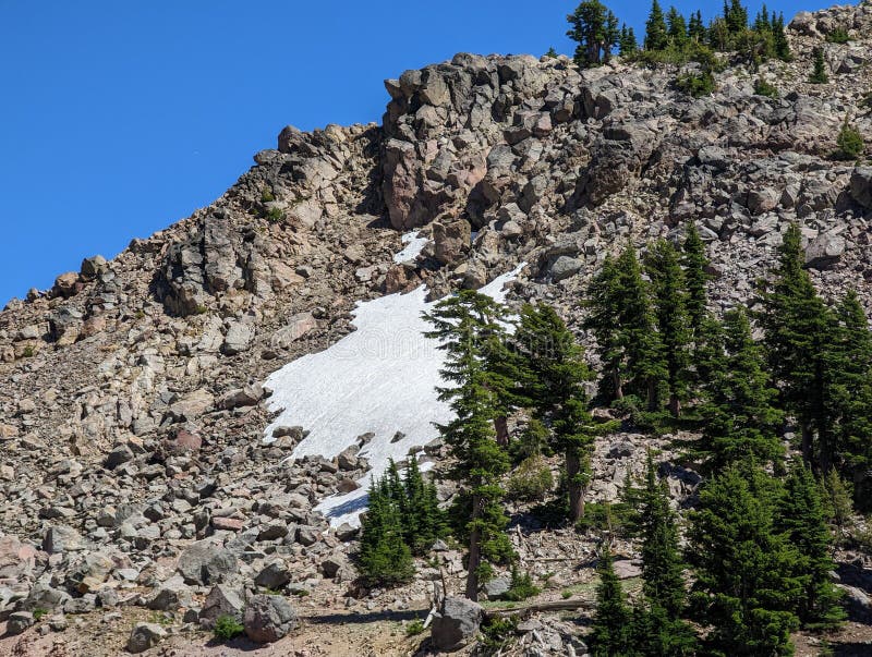 Rocky Hillside with Evergreen Trees Stock Image - Image of green ...