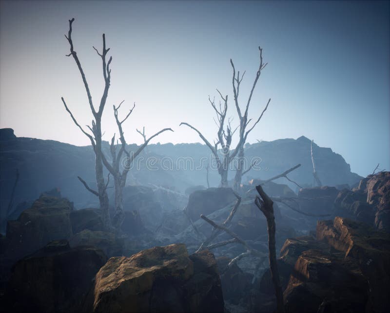 Rocky Landscape with Dead Trees in Mist. Stock Photo - Image of geology ...