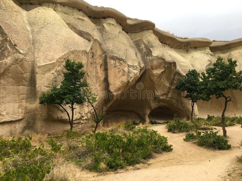 Rocky Landscape with Sparse Trees and Shrubs Under Clear Sky Stock ...