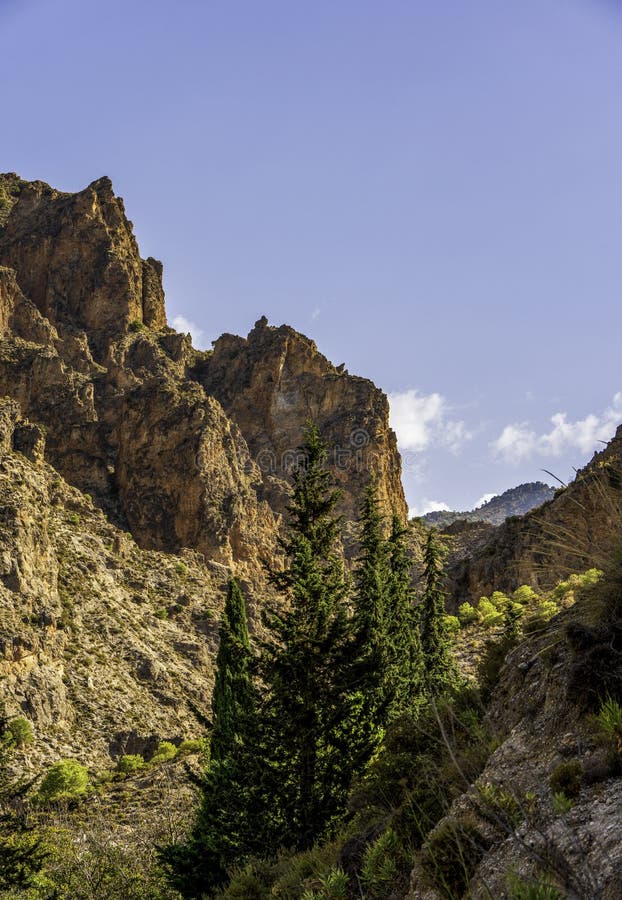 Rocky Landscape with Trees Near Granada Featuring Forest Trees and ...