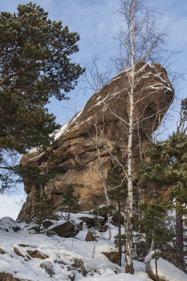 A Rocky Ledge in the Forest Stock Image - Image of nature, park: 239899873