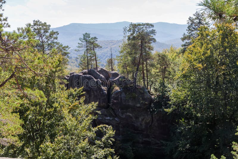 Rocky Ledge of Sandstone in Forest with Pines on Top Stock Image ...