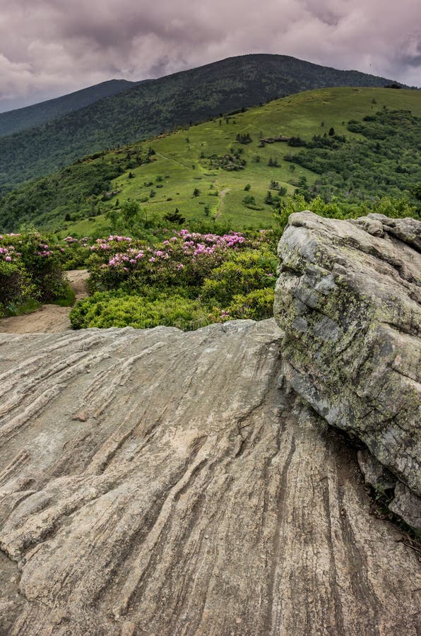 Rocky Lookout Bei Jane Bald Stockfoto - Bild von nord, himmel: 56794110