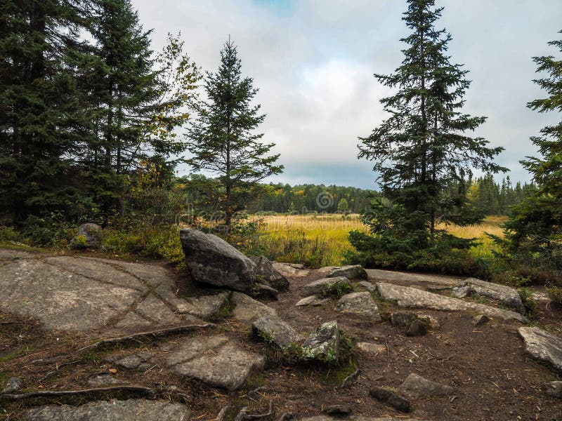 Photos de Rocky Marsh Algonquin Provincial Park - Photos de stock ...