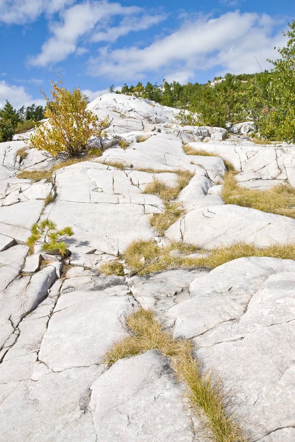 Bucket and spade stock photo. Image of holiday, sand - 11369820