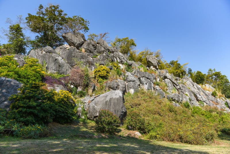 Rocky Mountain at Asian Nature Mountain Stone with Tree Plant Stock ...