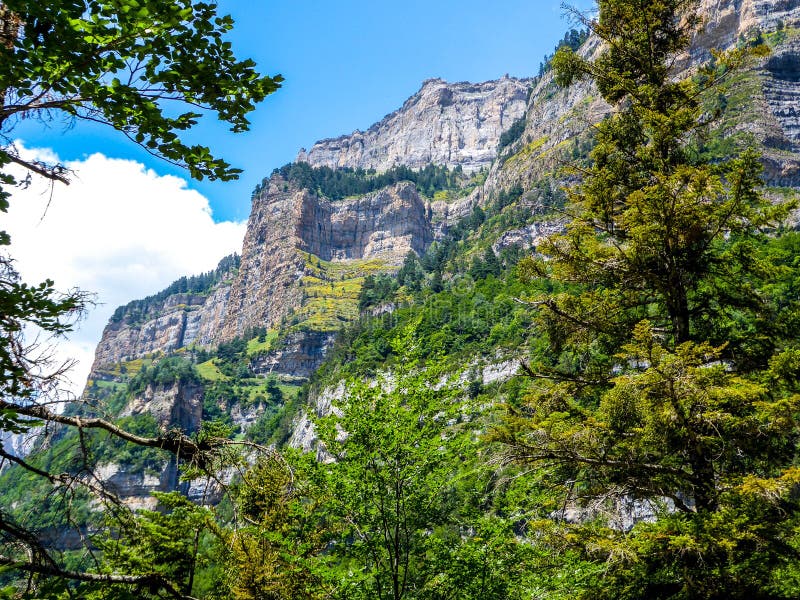 Rocky Mountain Behind the Trees Under Blue Cloudy Sky Stock Photo ...