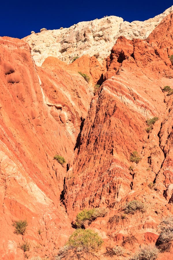 A Rocky Mountain with a Cliff Face and a Tree Growing on it Stock Photo ...