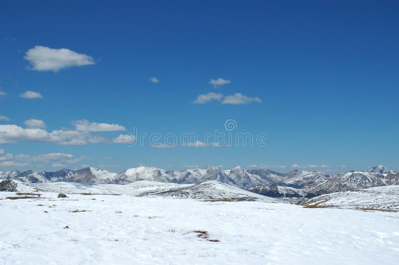 102 3 Plants Mmespelagic Zone Stock Photos - Free & Royalty-Free Stock ...