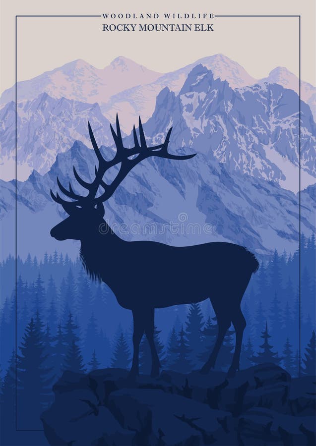 Rocky Mountain Elk in Mountains Woodland Forest Stock Vector ...