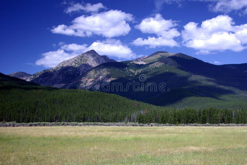 Rocky Mountain Field stock image. Image of cloud, bush - 467627