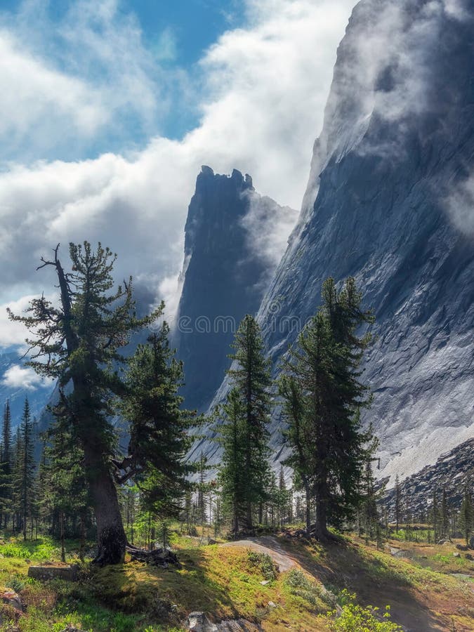Rocky Mountain Forest Valley in Sunny Summer Day Stock Photo - Image of ...