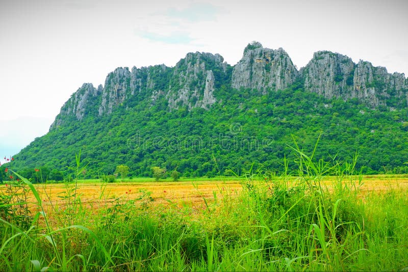 Rocky Mountain in Front of the Fields. Stock Image - Image of focus ...