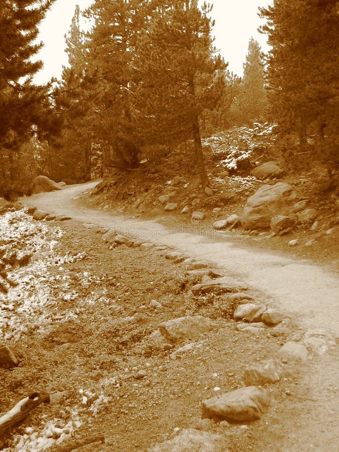 Rocky Mountain Path III stock photo. Image of trees, path - 2349594