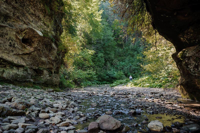 Rocky Mountain River among the Forest. Beautiful River with a Waterfall ...