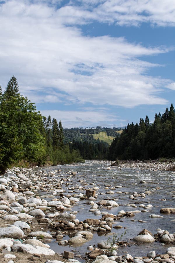 Rocky Mountain River Surrounded by Trees Stock Image - Image of ...