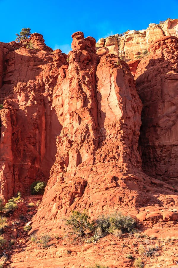 A Rocky Mountain with a Small Tree Growing on it Stock Photo - Image of ...