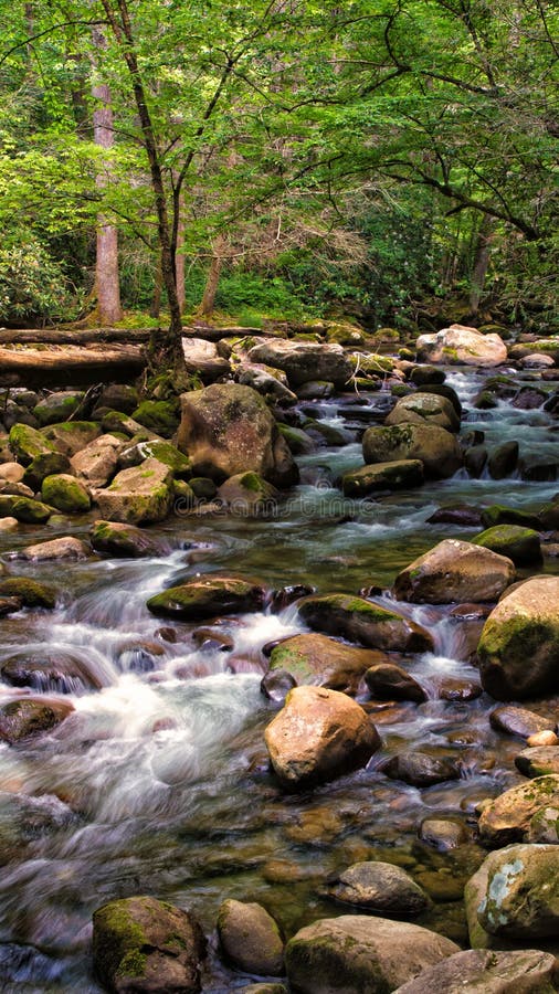 Rocky Mountain Stream stock photo. Image of scenic, splash - 25969868
