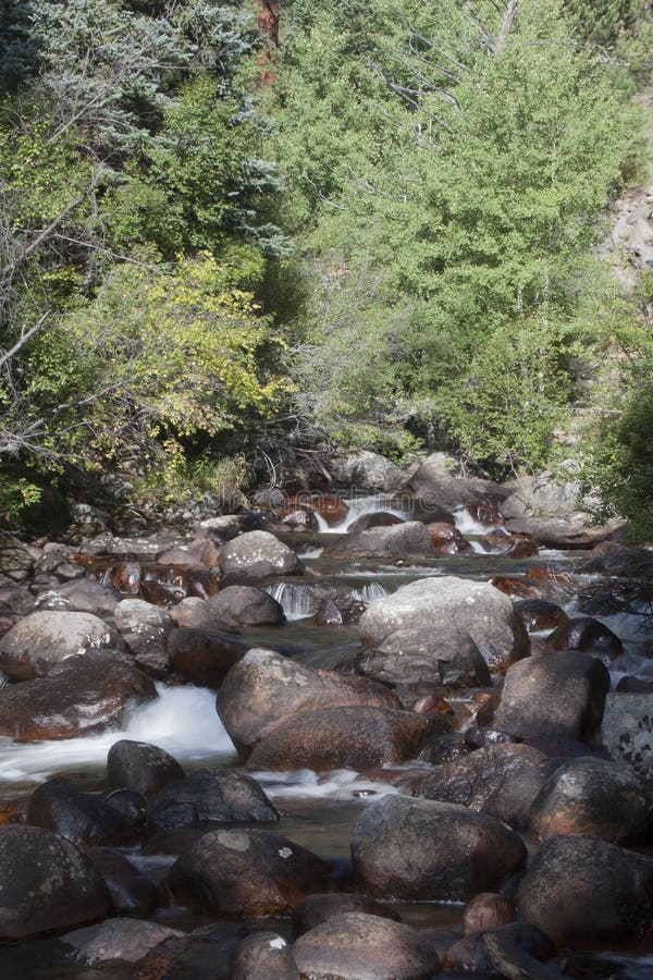 Rocky Mountain stream stock image. Image of nature, trees - 29304939