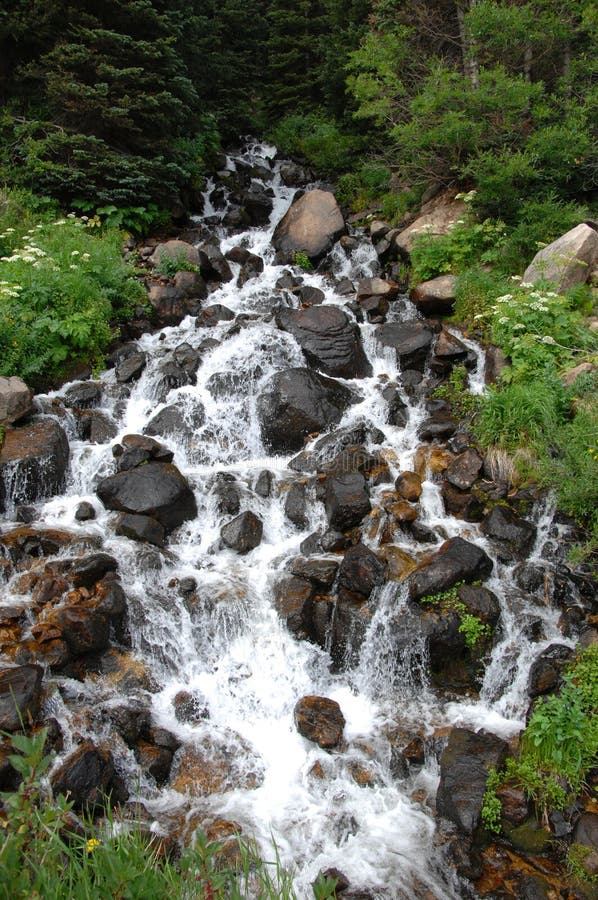 Rocky Mountain Stream 33 stock image. Image of hiking - 6038113