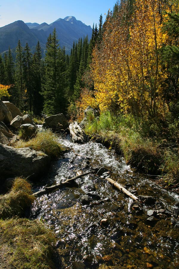 Rocky Mountain stream stock photo. Image of tree, aspen - 3359346
