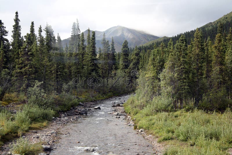 Rocky Mountain Stream Inside Denali Stock Image - Image of inside ...