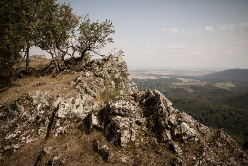 Rocky Mountain Top with Trees Stock Image - Image of panorama, nature ...