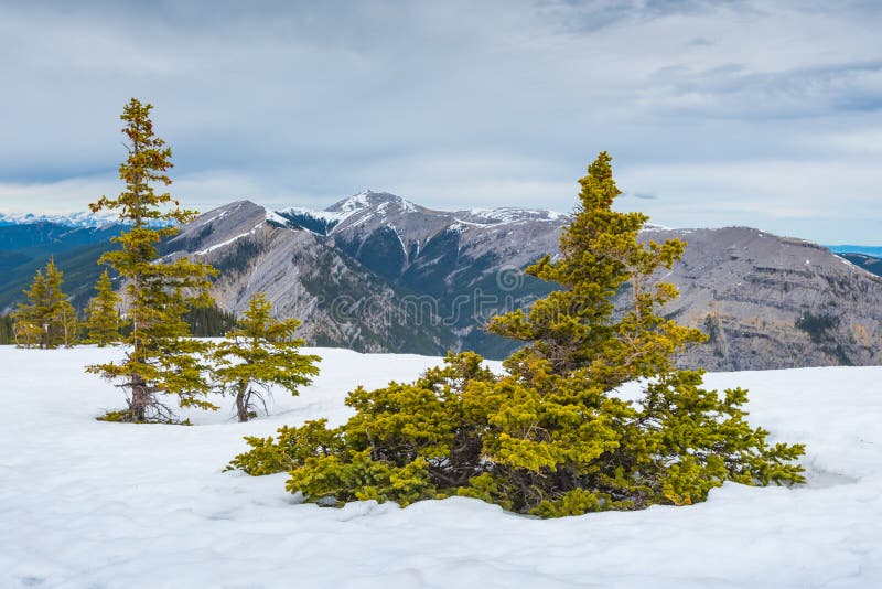 Rocky Mountain Views stock photo. Image of creek, recreation - 92376306