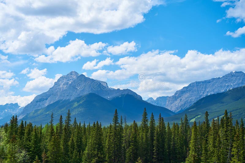 The Rocky Mountains of Alberta are Surrounded by Coniferous Forests on ...