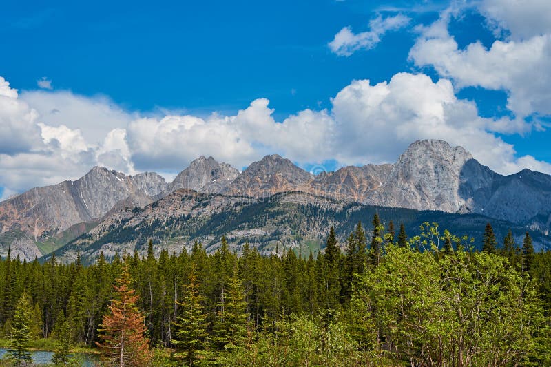 The Rocky Mountains of Alberta are Surrounded by Coniferous Forests on ...