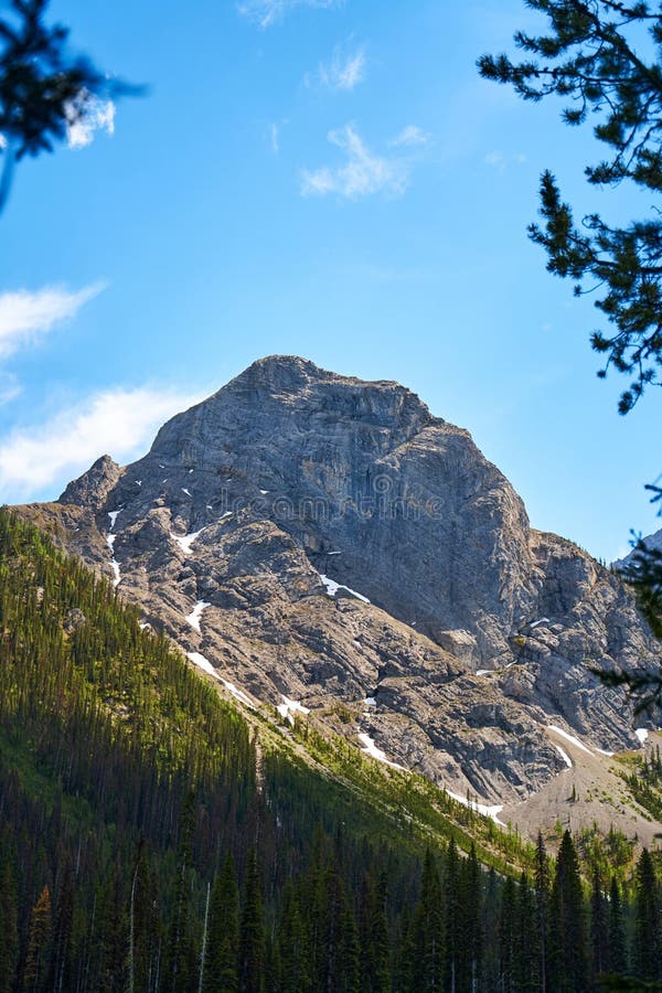 The Rocky Mountains of Alberta are Surrounded by Coniferous Forests on ...