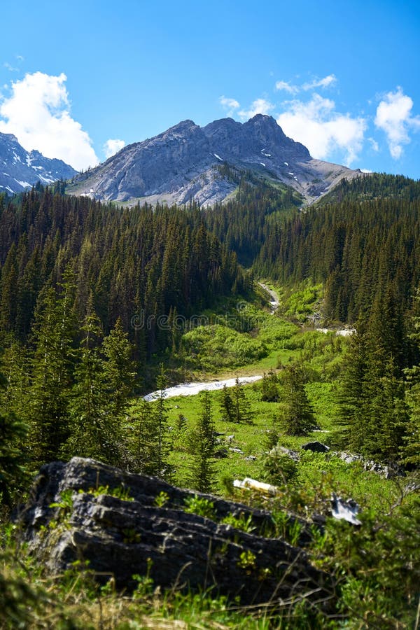 The Rocky Mountains of Alberta are Surrounded by Coniferous Forests on ...