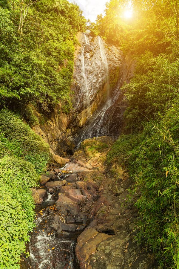 Deep forest waterfall stock image. Image of amazing - 145981835