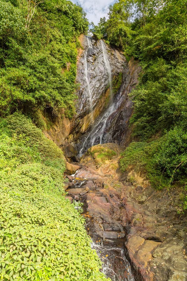 Rocky Mountains Clear Water Deep Forest Waterfall Stock Photo - Image ...