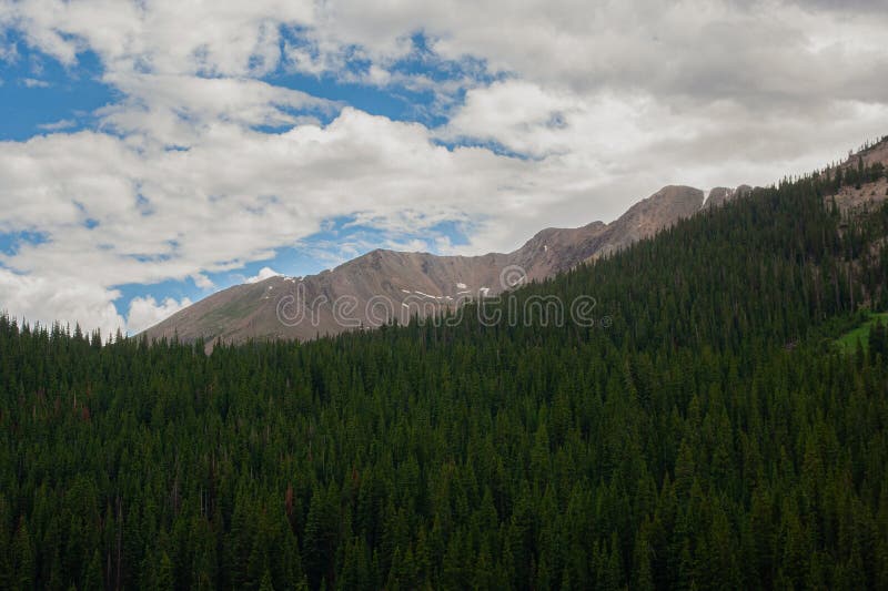 Mountain Summit in the Rocky Mountains with Alpine Forest Stock Image ...