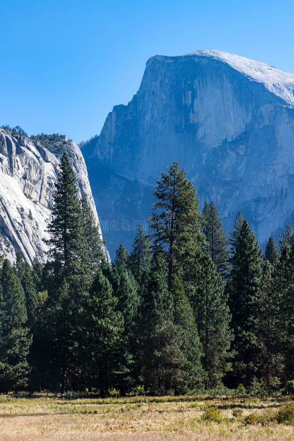 Rocky Mountains with Pine Trees Stock Image - Image of autumn, mountain ...