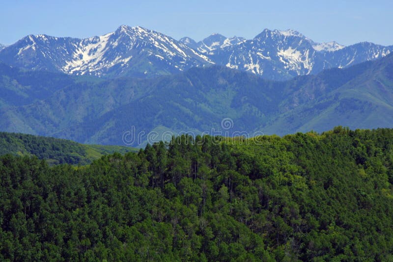 Rocky Mountains Stretching into Distance Stock Photo - Image of ...