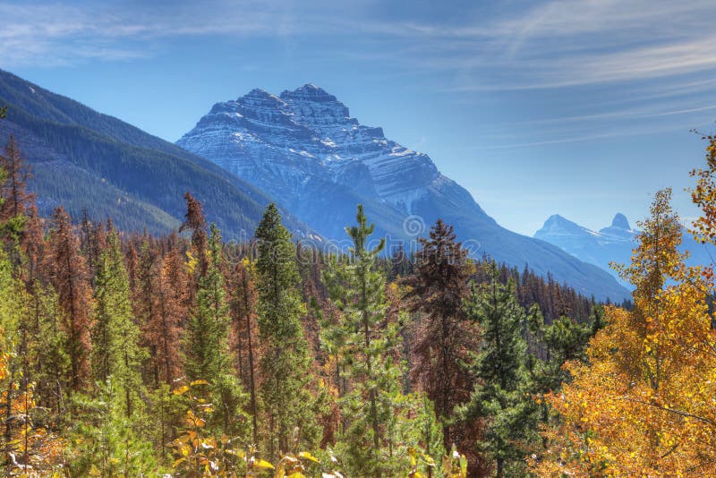 Rocky Mountains with Trees in Foreground Stock Photo - Image of valley ...