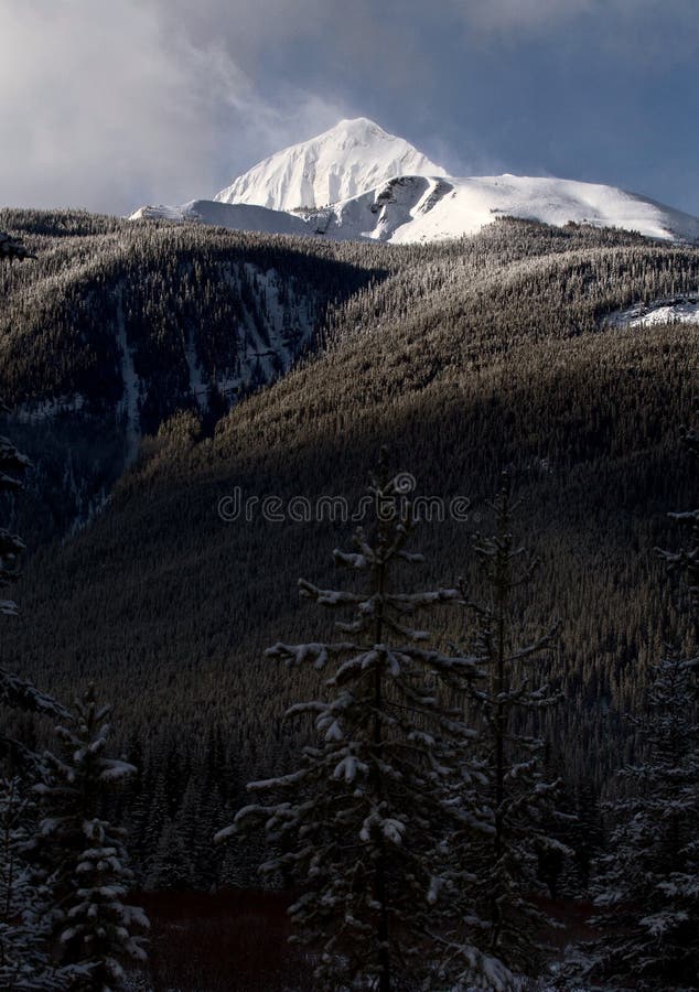 Rocky Mountains in Winter stock image. Image of winter - 92517371