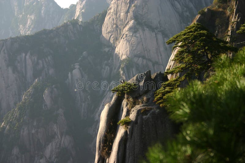 Beautiful Waterfall Above a Deep Green Valley in the Mountains Stock ...