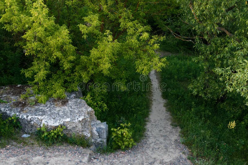 Rocky Narrow Winding Path in the Forest Stock Photo - Image of park ...
