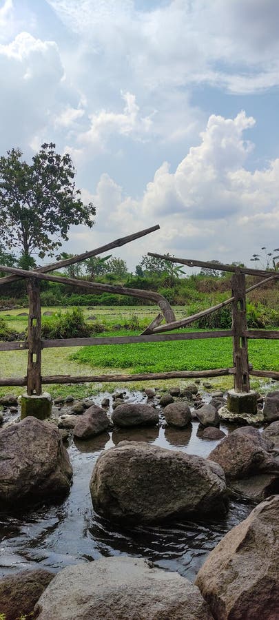 Rocky Natural River with Clear Water in View during the Day Stock Photo ...