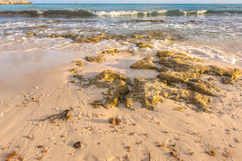 Rocky Ocean Beach stock image. Image of environment, waves - 30392065