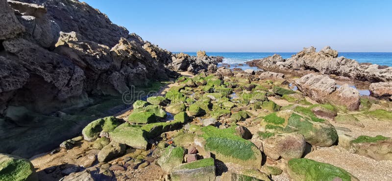 Rocky Ocean Beach stock photo. Image of seascape, shore - 173589628