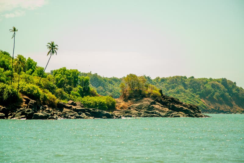 Rocky Ocean Shore with Palm Trees and Jungle Stock Photo - Image of ...
