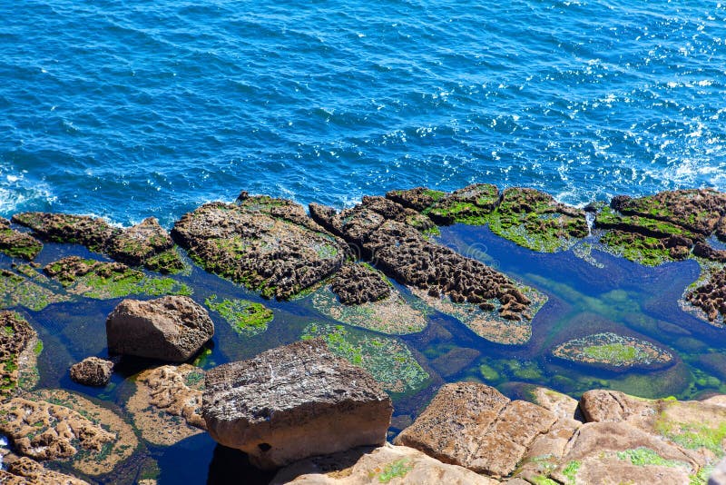 Rocky ocean shore stock photo. Image of island, rocks - 190736472