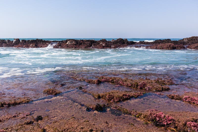 Rocky Ocean Waves Tidal Pools Stock Photo - Image of holidays, scenic ...