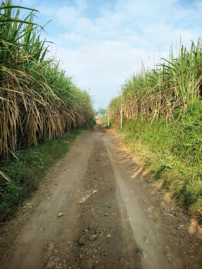 The Rocky Path is an Alternative Route To the Hills of Mount Panderman ...