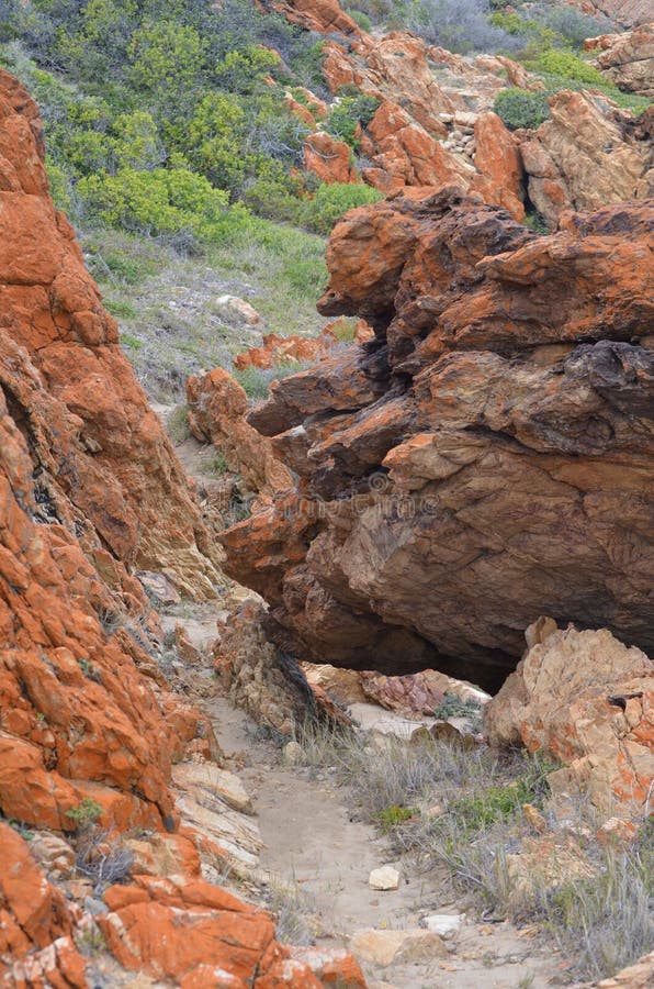Rocky Foot Path through Forest in Autumn Stock Image - Image of ...