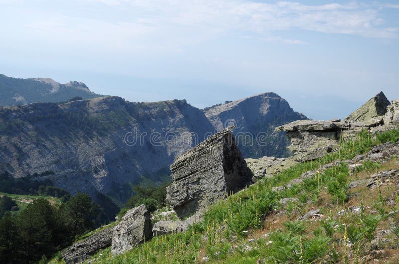 On the Rocky Path stock image. Image of garden, coastal - 125501513